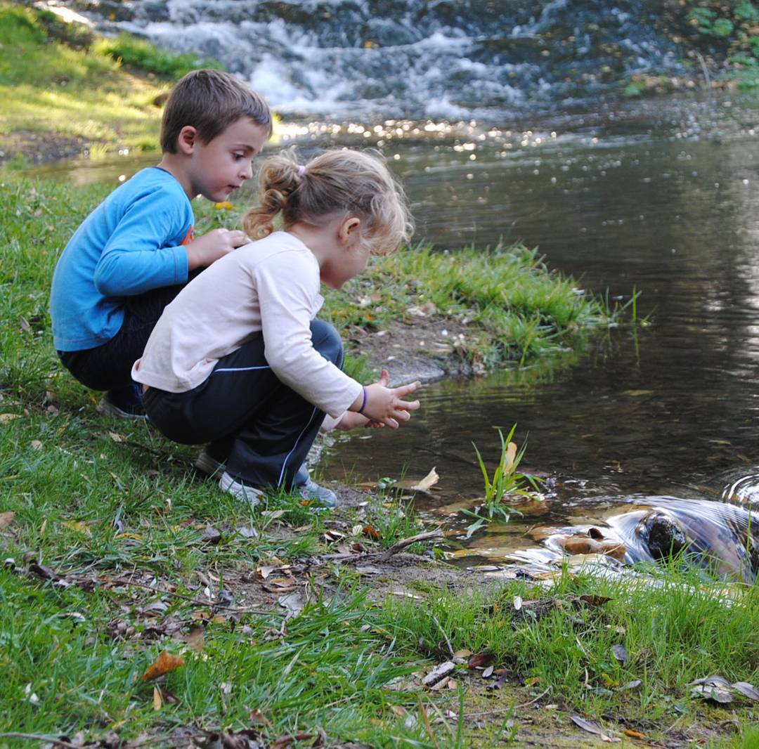 5 Ways For Your Children To Take Care Of The Environment