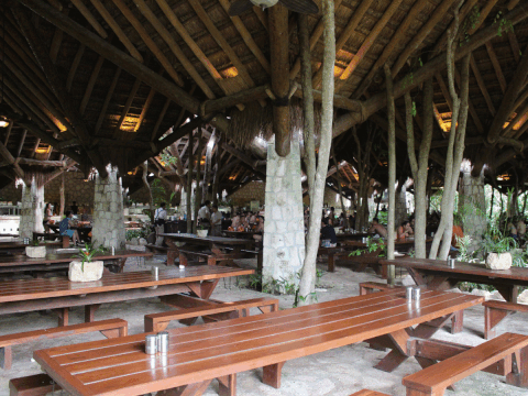 Guide and tips for your visit to Xplor