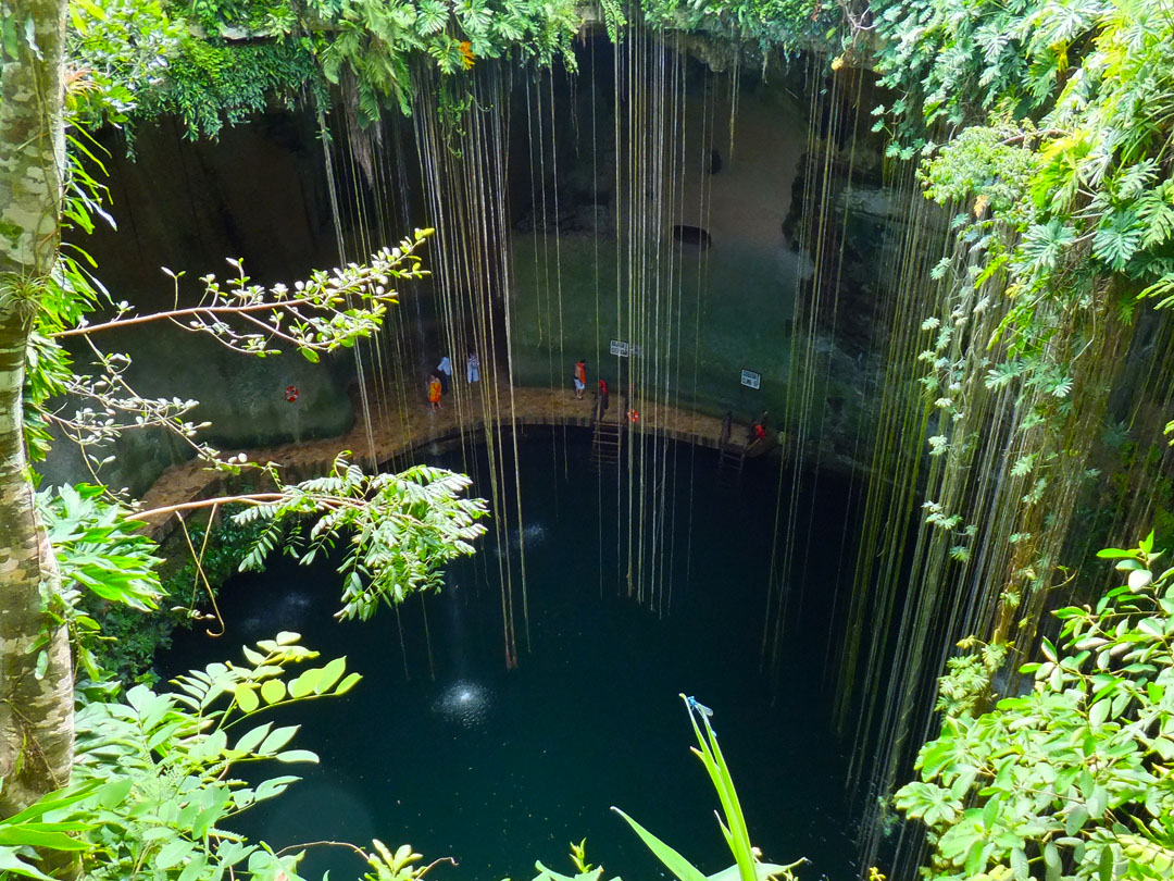 The 20 most beautiful cenotes in Mexico Part 1 - Xcaret Blog - Read ...