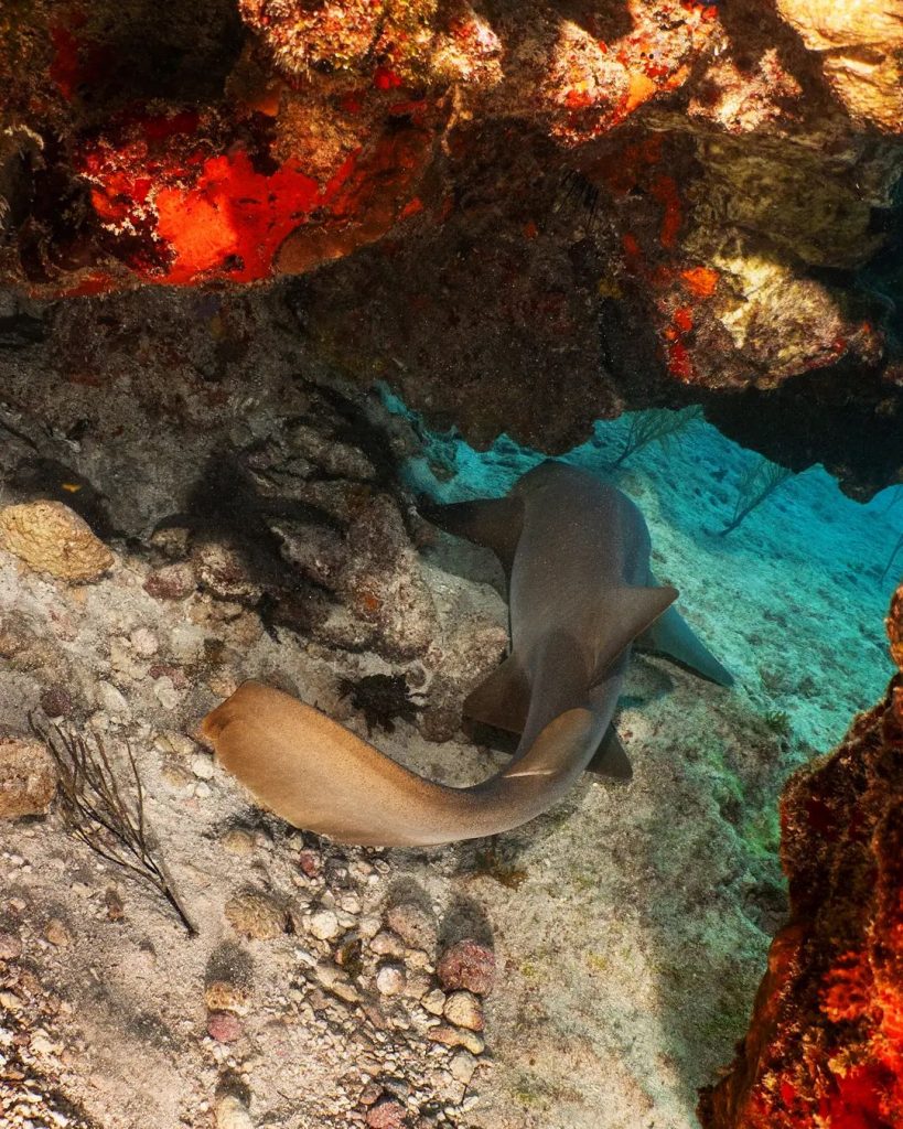 What to do in Isla Mujeres: 7-hour day trip itinerary