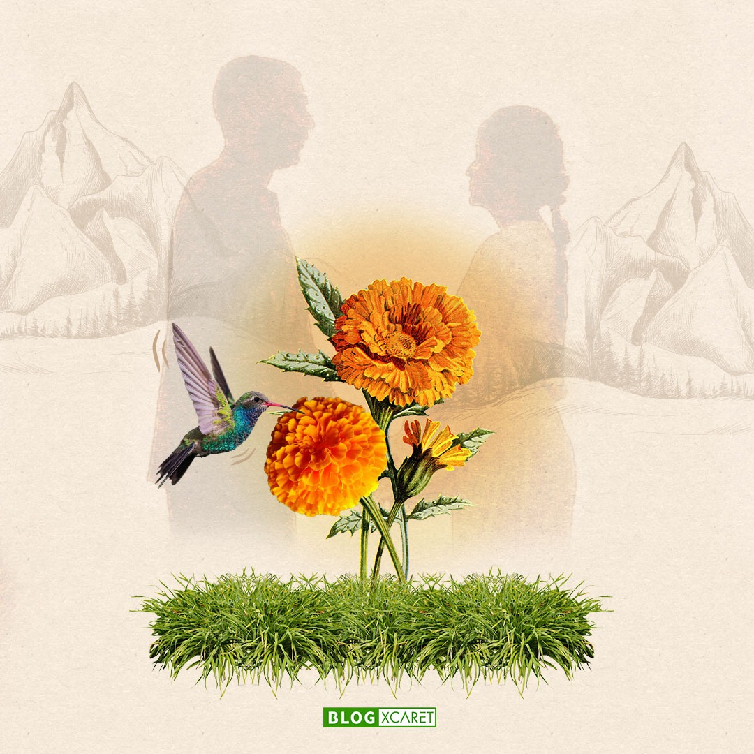 The marigold: life-giving Day of the Dead flower