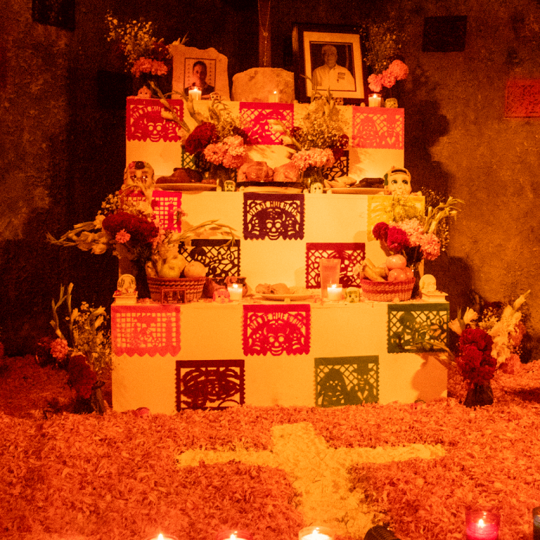 La flor de Cempasúchil: flor de Dia de Muertos que da vida