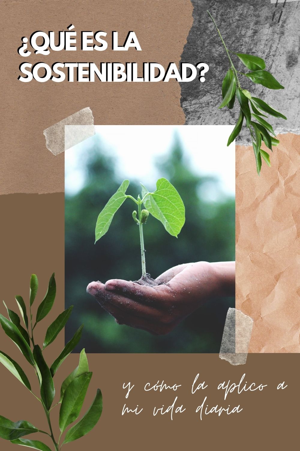 Qué es la sostenibilidad y cómo aplicarla a mi vida diaria - Blog ...