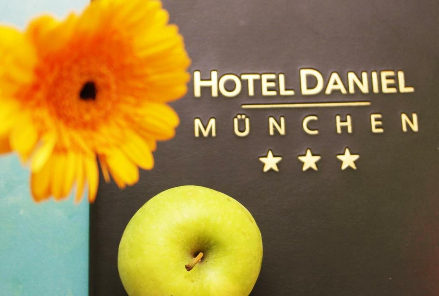 《Daniel》– Real Guest Stories & Booking Info | HafH