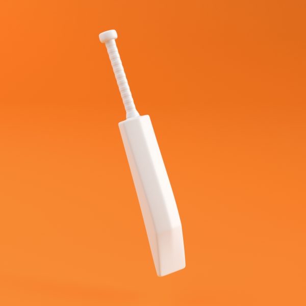 3D 13 Cricket Bat Model | The Happy Toolbox