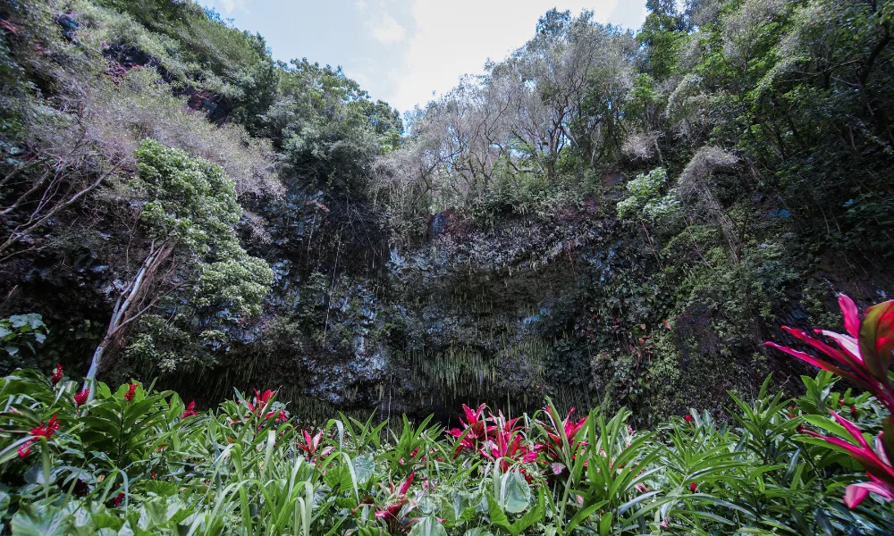 How to See Fern Grotto Kauai - Hawaii Aloha Travel