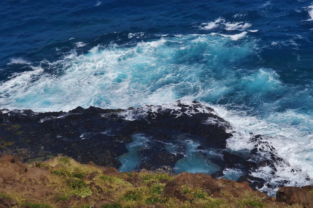 Take a Dip in One of These 5 Best Hawaiian Tide Pools - Hawaii Aloha Travel