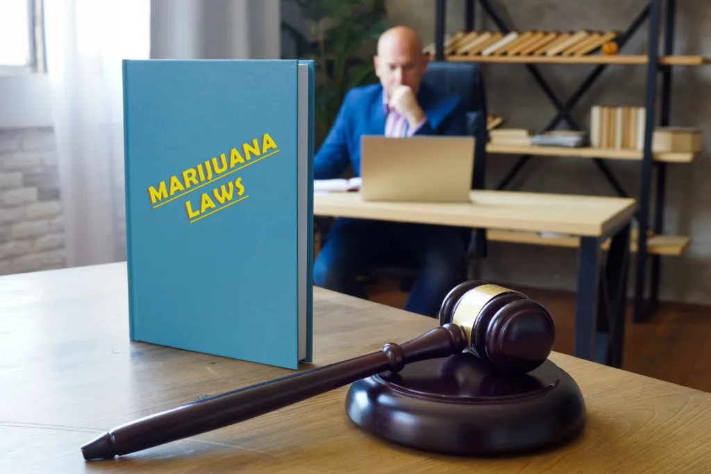 Marijuana in Hawaii: What Visitors Need to Know Before They Arrive