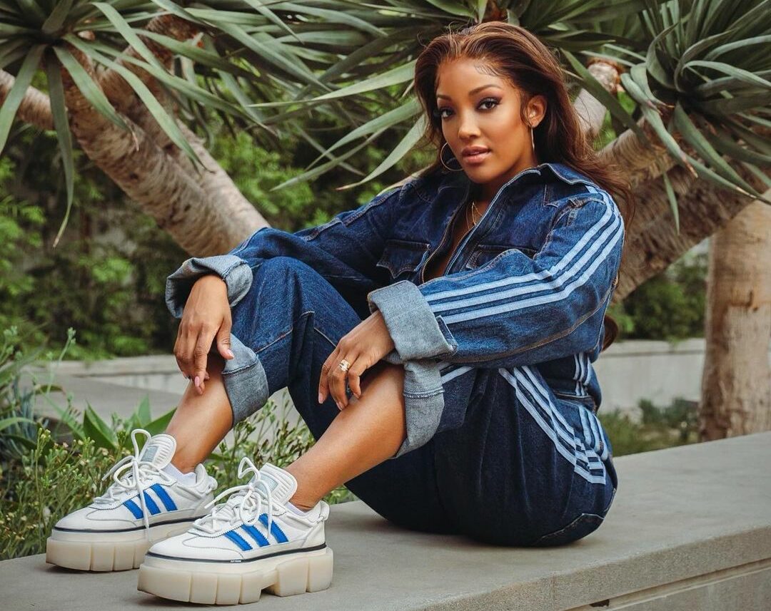 Amanda Seales Schools Racist Troll Who Came For Country Singer Mickey ...
