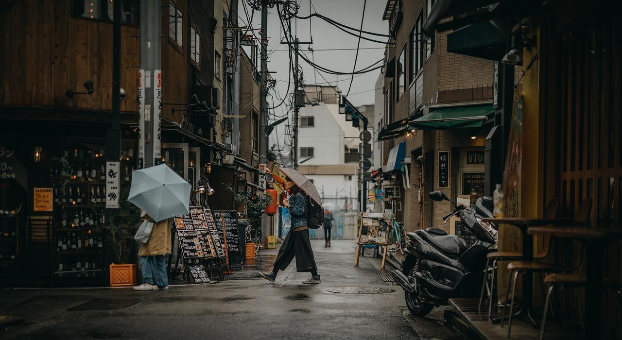 Nomad's Guide to Living and Working Remotely in Tokyo