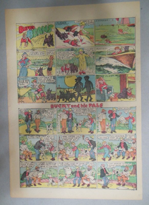 Buster Beans Dog Comic Strip ! by Robt. L Dickey 8/4/1935 Size: 11 x 15 ...
