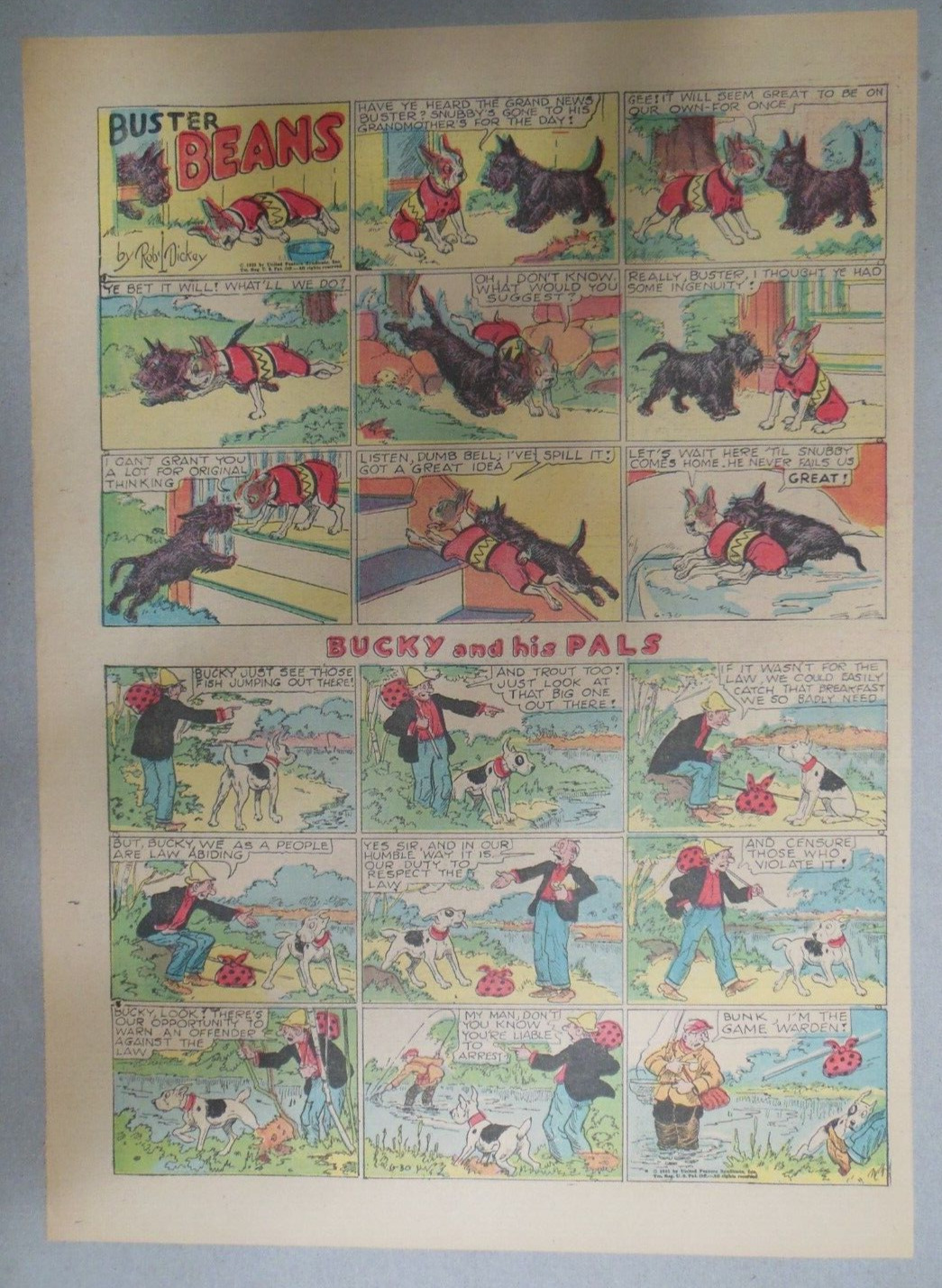 Buster Beans Dog Comic Strip ! by Robt. L Dickey 6/30/1935 Size: 11 x ...