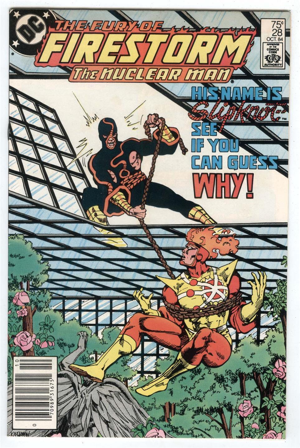 The Fury of Firestorm #28 1984 DC 1st App of Slipknot! Suicide Squad ...