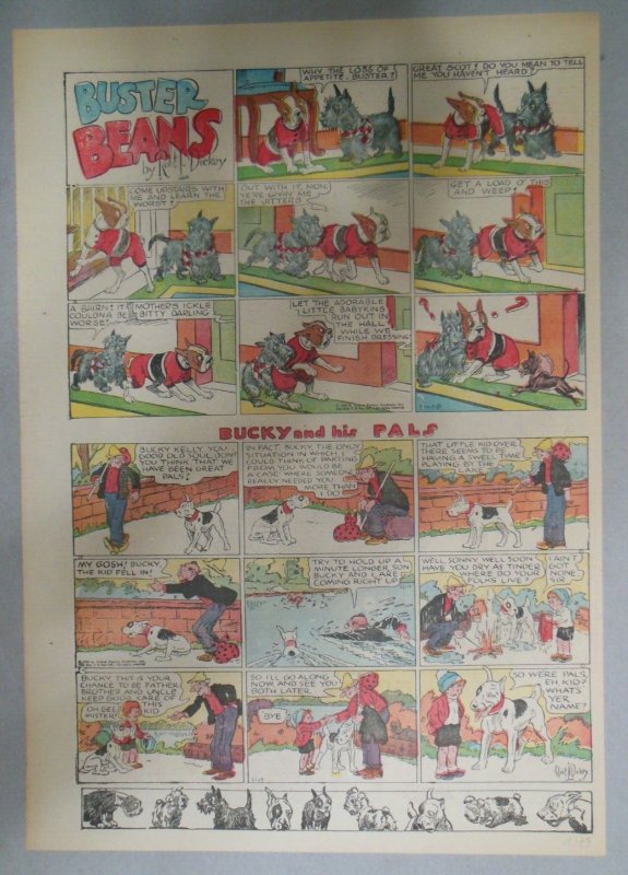 Buster Beans Dog Comic Strip ! by Robt. L Dickey 1/19/1935 Size: 11 x ...