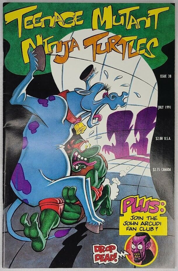 Teenage Mutant Ninja Turtles 38 Mirage 1991 FN+ 6.5 TMNT Original ...