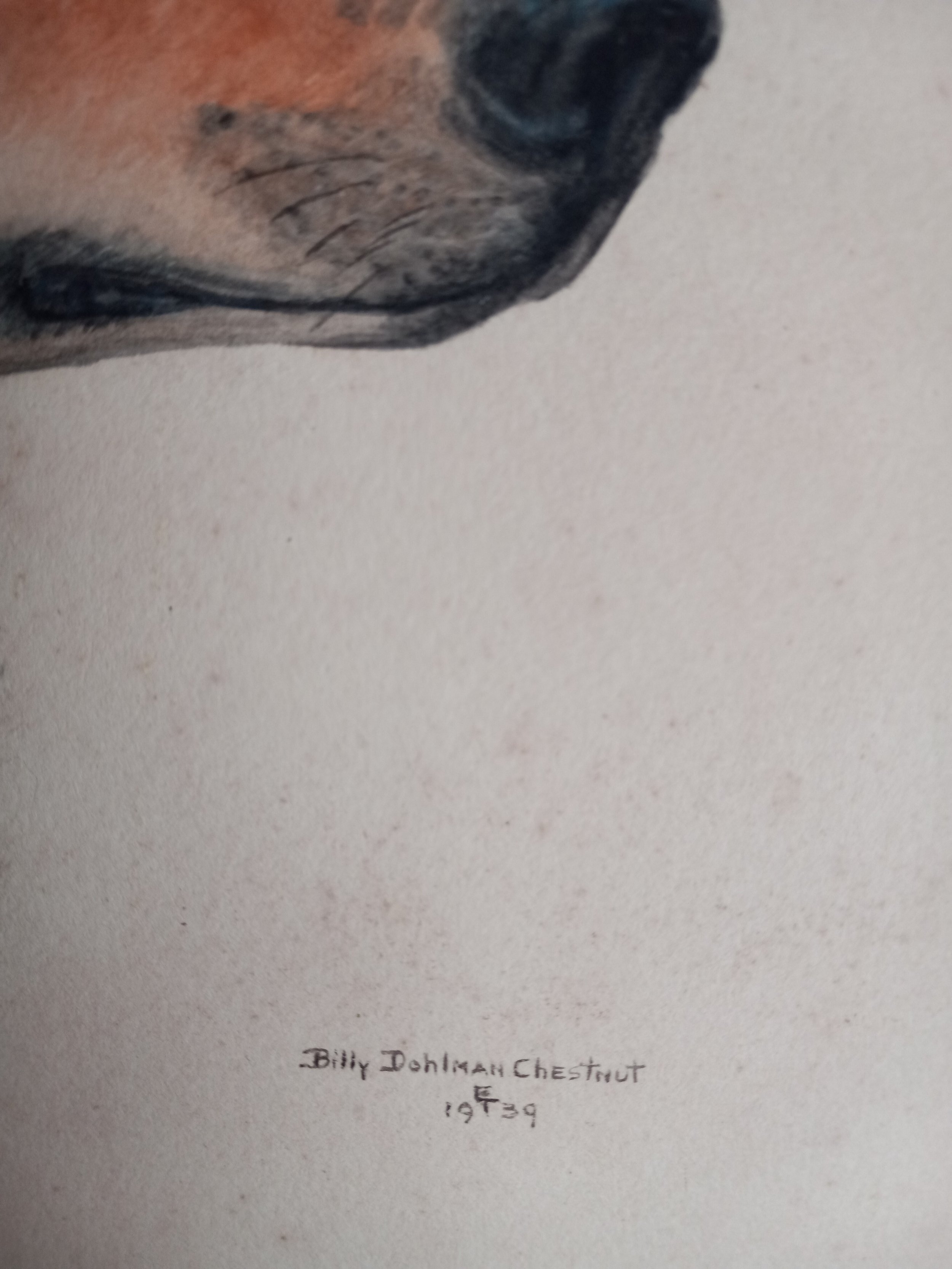 Billy Dohlman Chestnut, (1939) Fine Art Drawing | Comic Collectibles ...