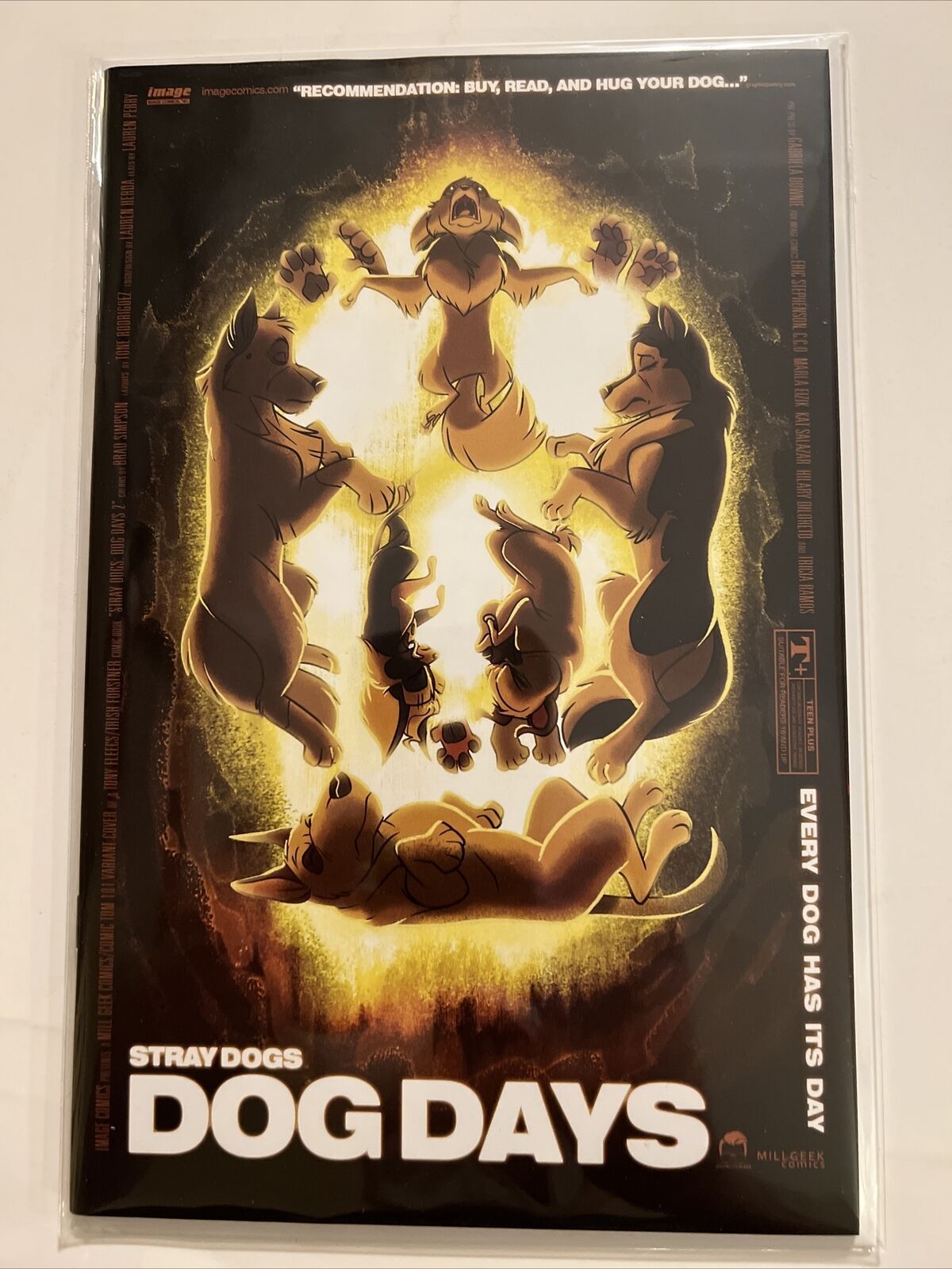 Stray Dogs: Dog Days #2 ComicTom101 MMC Exclusive - Descent Homage LTD ...