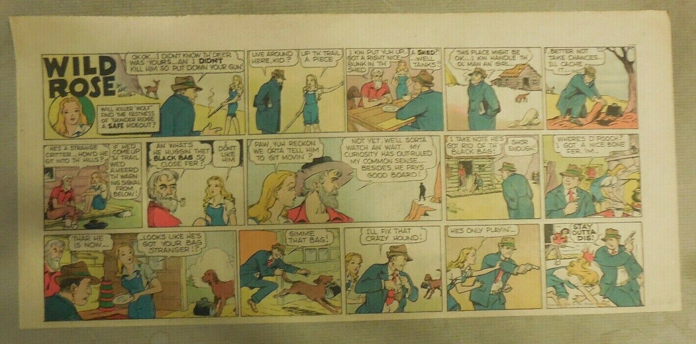 Wild Rose by Art Huhta from 4/14/1946 Third Page Size 7.5 x 15 Inches ...