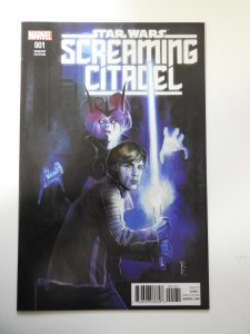 Star Wars: Screaming Citadel Incentive Marco Checchetto Concept Art ...