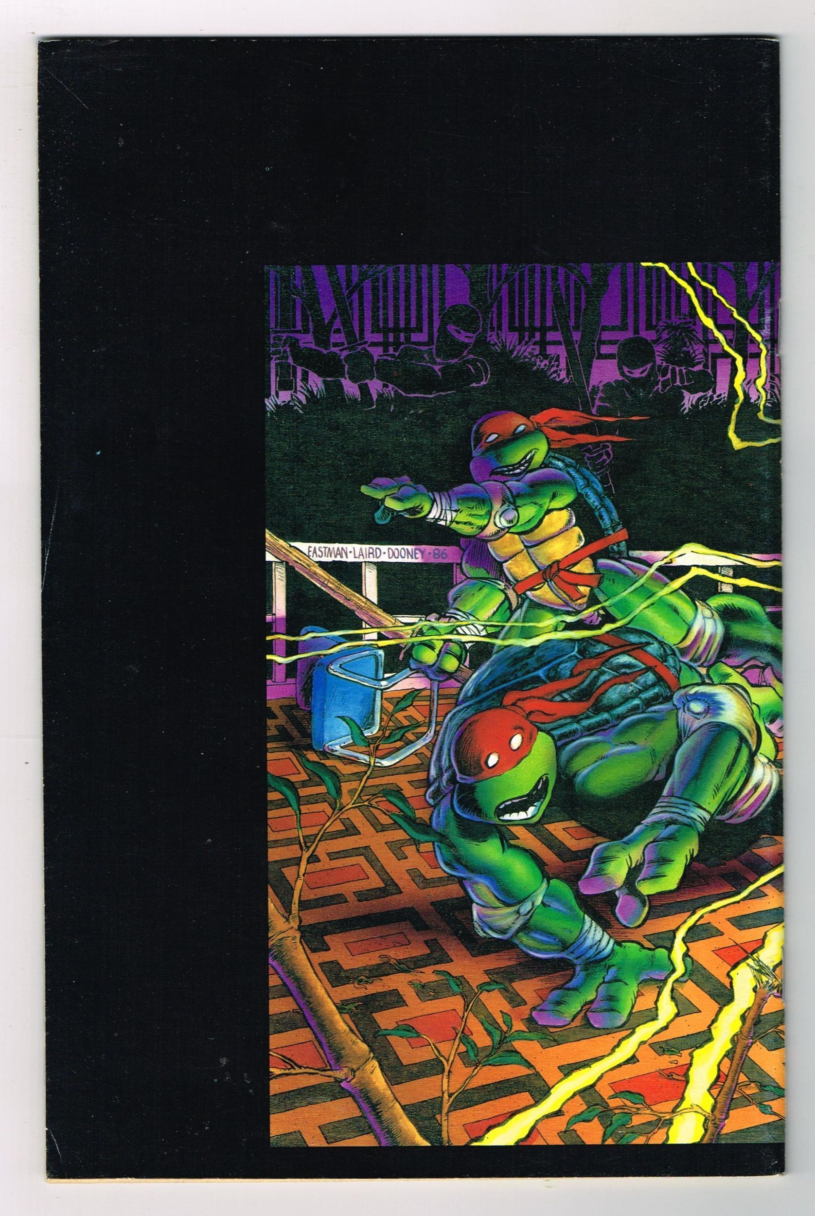 Teenage Mutant Ninja Turtles #9 (1986) 1st cover appearance of Splinter ...