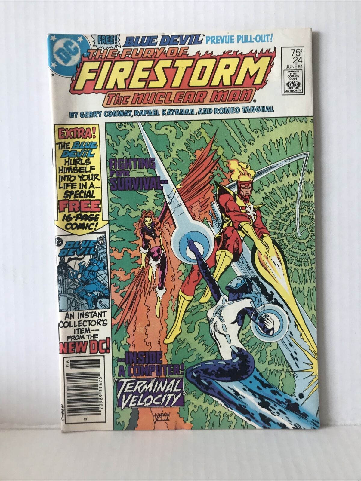 The Fury Of Firestorm The Nuclear Man #24 (First Appearance Of Blue ...