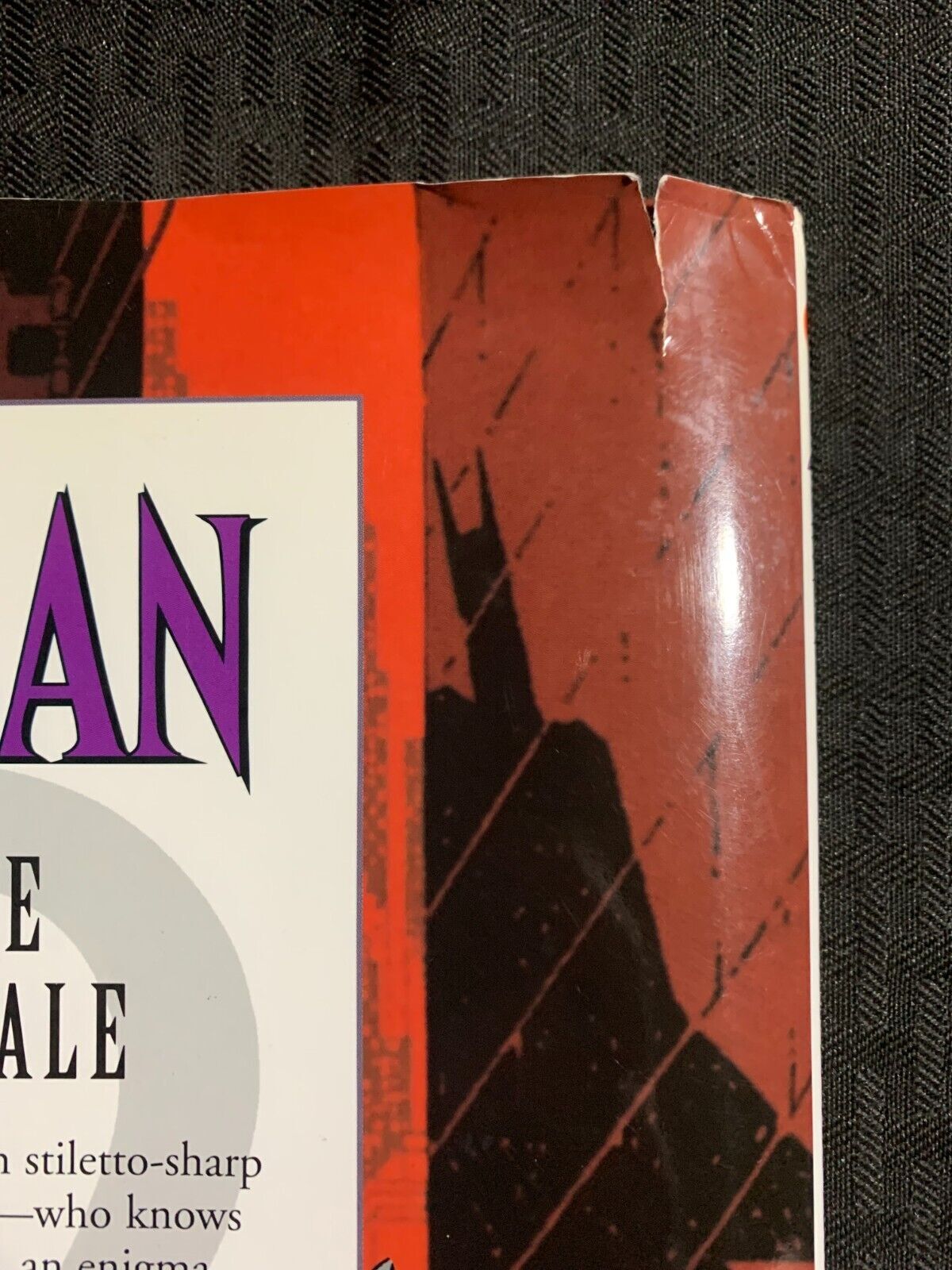 2004 CATWOMAN Visual Guide to the Feline by Scott Beatty HC/DJ VF+/FN ...