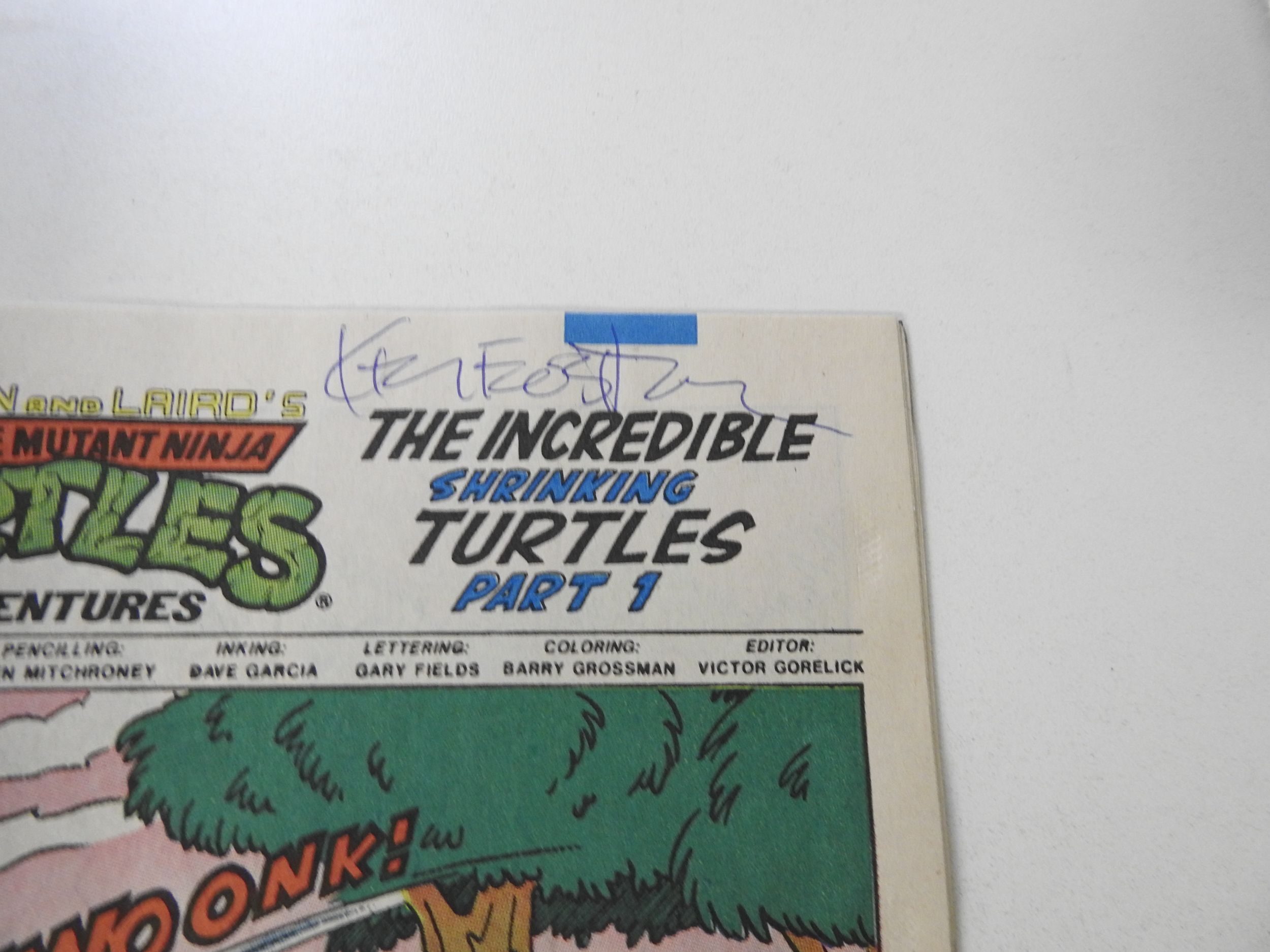 Teenage Mutant Ninja Turtles Adventures #3 (1989) Signed X4+Remark!! NM ...