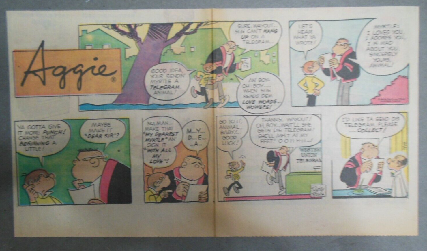 (6) Aggie Sunday Pages by Roy Fox from 1967 Size: 7.5 x 15 inches ...