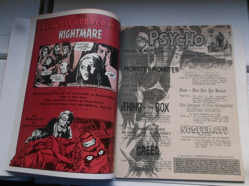Skywald: Psycho #16, "The OLD Vampire Lady", Cool Creepy Cover, 1971 ...