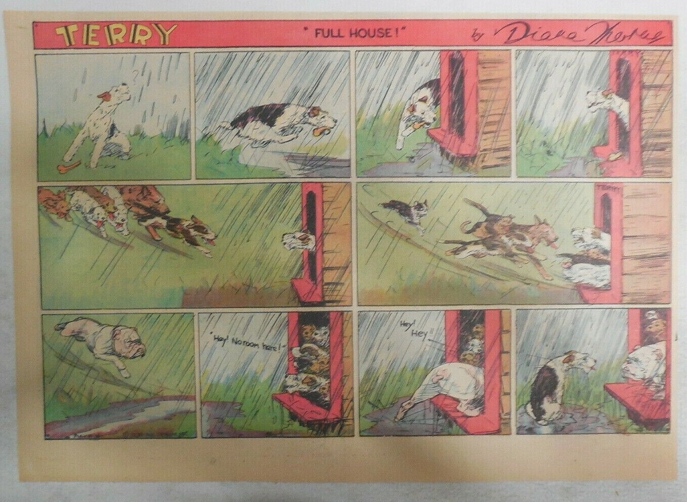 Terry (The Dog) Sunday Page Diana Thorne from 7/10/1938 Half Page Size ...