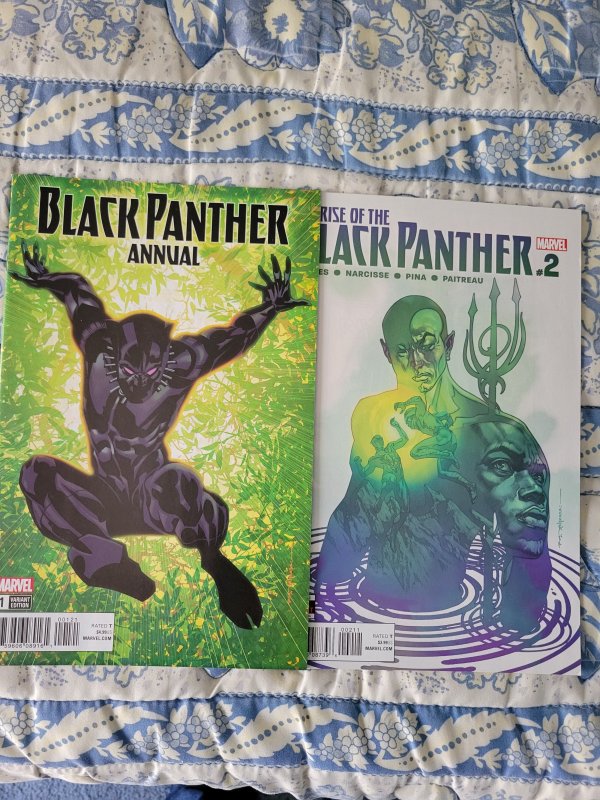 Black Panther 2 Pack! | Collections / HipComic