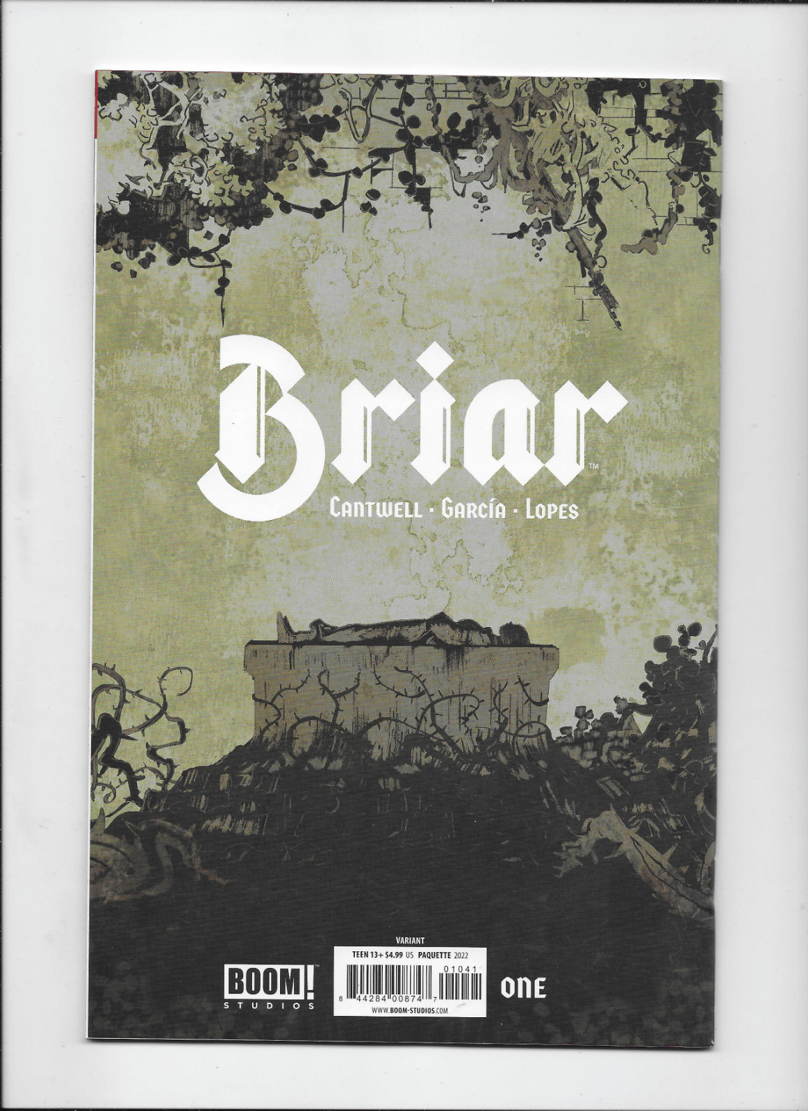 Briar #1 Boom! Studios 2022 Yanick Paquette | Comic Books - Modern Age ...