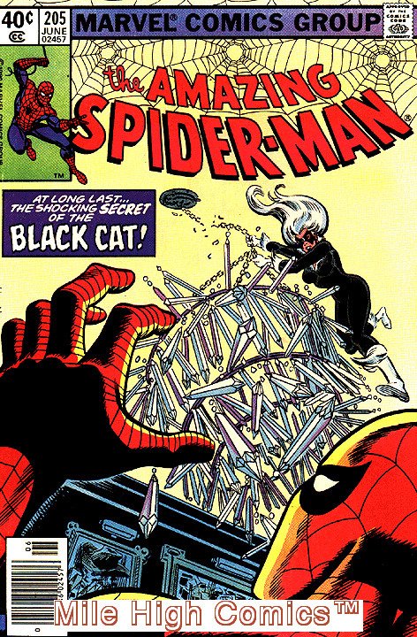 SPIDER-MAN (1963 Series) (AMAZING SPIDER-MAN) #205 NEWSSTAND Fair ...