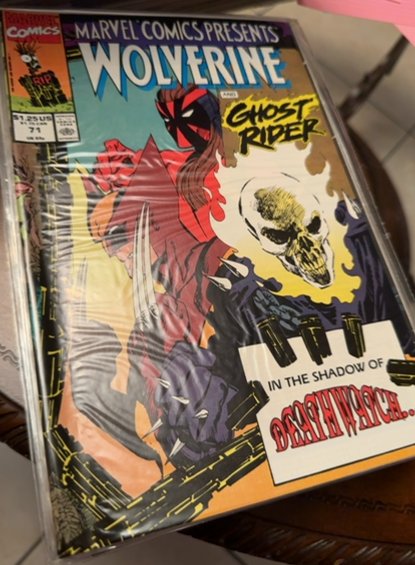 Marvel Comics Presents #71 (1991) Shanna the She-Devil | Comic Books ...