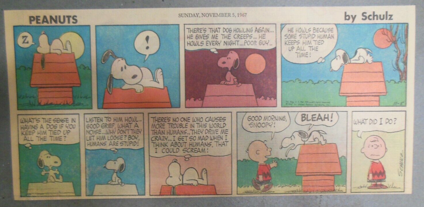 Peanuts Sunday Page by Charles Schulz from 11/5/1967 Size: ~7.5 x 15 ...