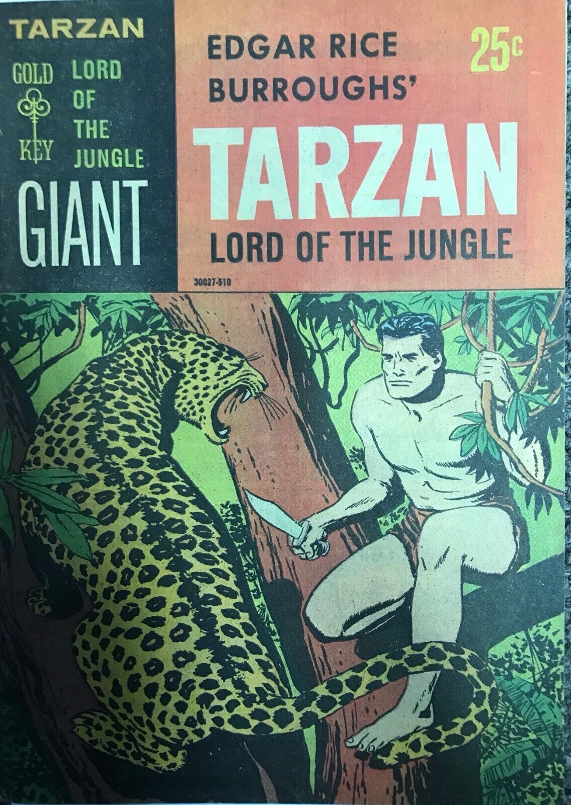(1965) Edgar Rice Burrough's Tarzan Lord of the Jungle Giant #1! Gold ...