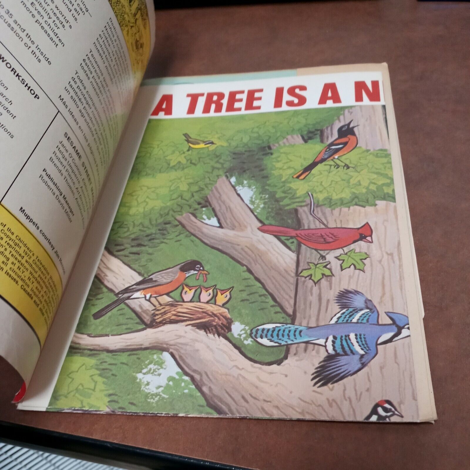 Sesame Street Magazine V2 #9 Comic Book size june 1972 Dell. Ctw ...