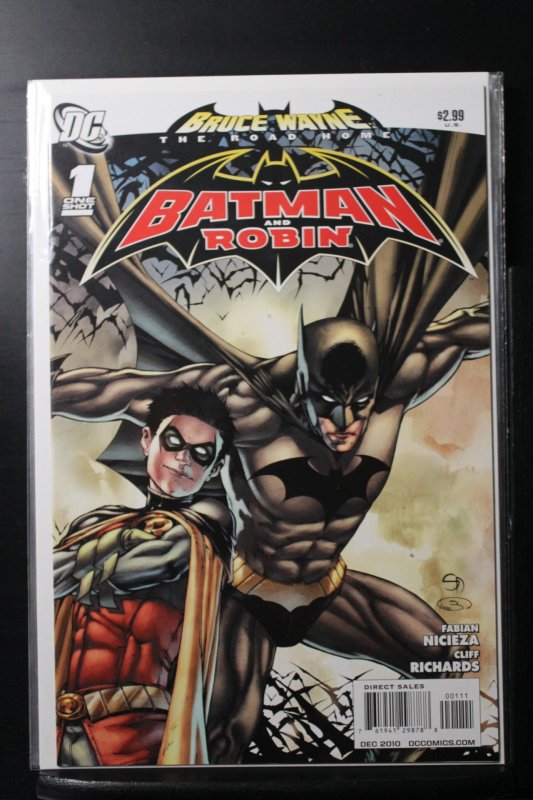 Bruce Wayne: The Road Home: Batman and Robin (2010) | Comic Books ...