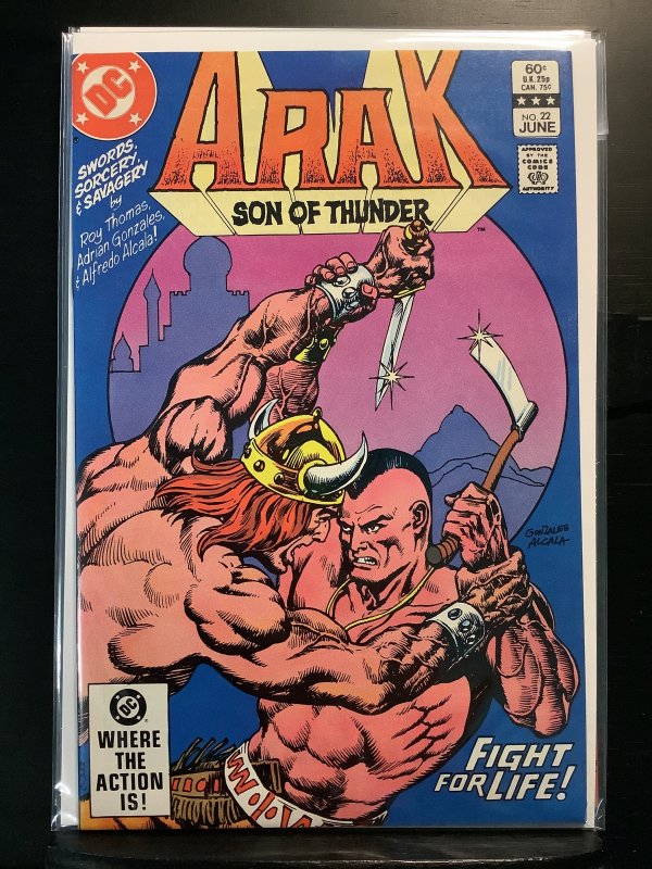 Arak, Son of Thunder #22 (1983) | Comic Books - Bronze Age, DC Comics ...