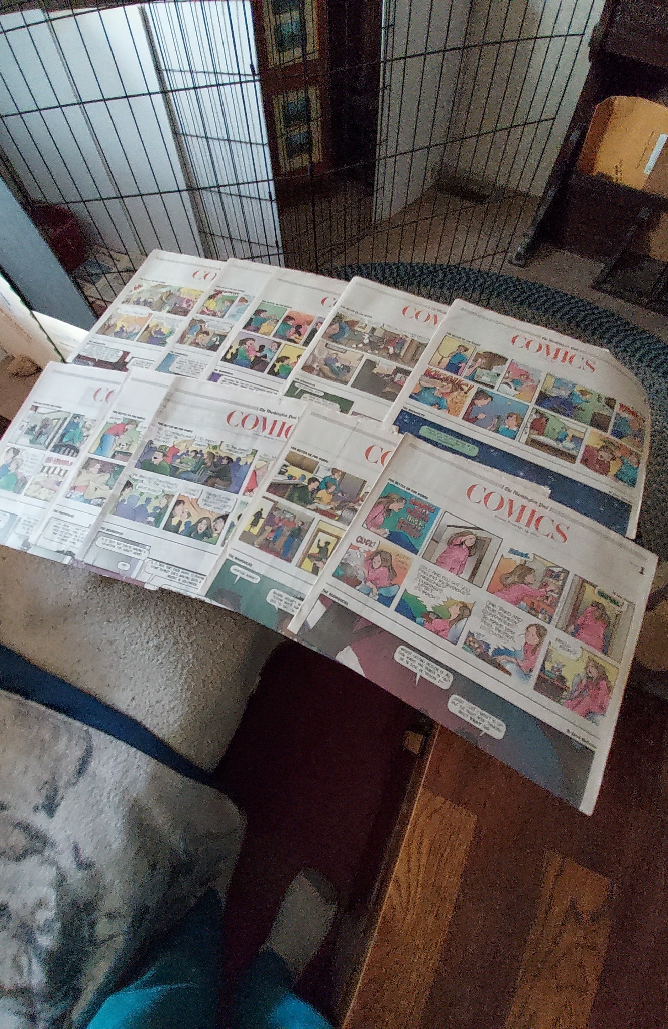 Lot of 10-count Newspapers 2002 Comics Pages (390 Total Different ...