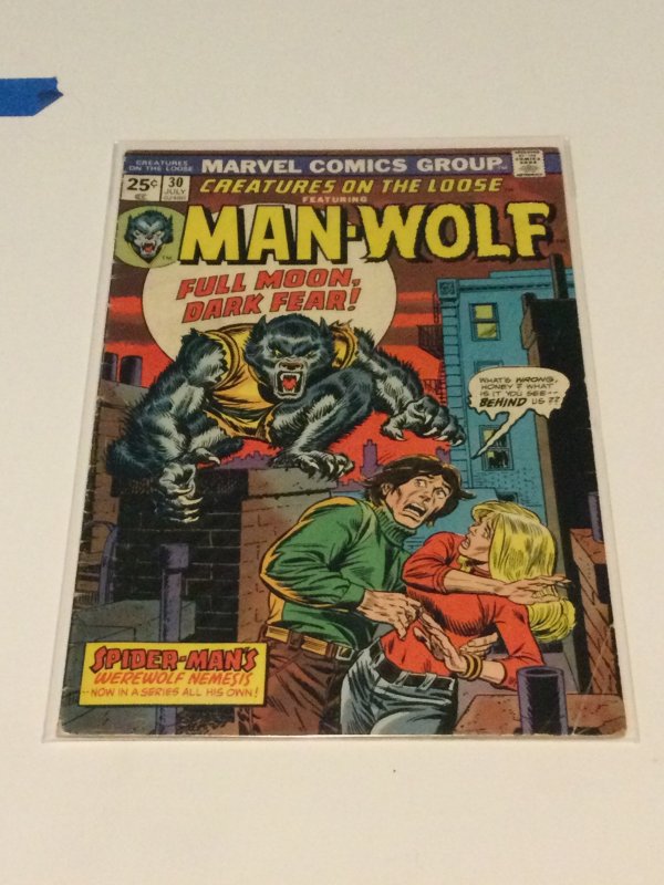 Creatures on the Loose #30 (1974) VGFN | Comic Books - Bronze Age ...