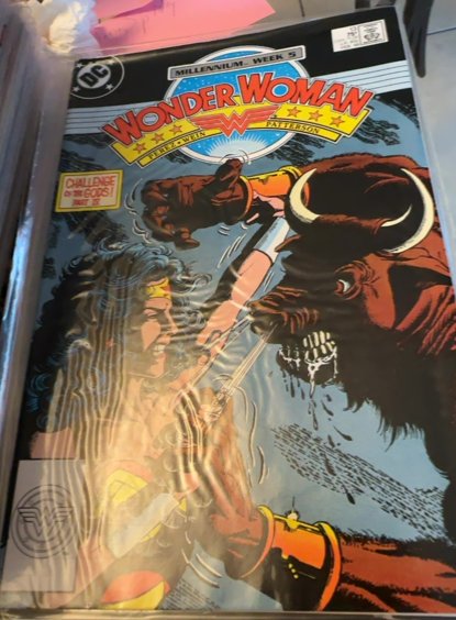 Wonder Woman #13 (1988) Wonder Woman | Comic Books - Copper Age, DC ...