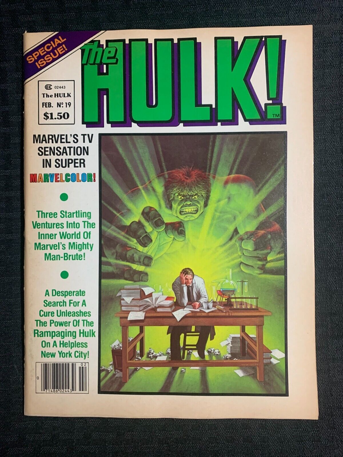 1980 THE HULK Magazine #19 FN+ 6.5 Gene Colan & Alfredo Alcala | Comic ...