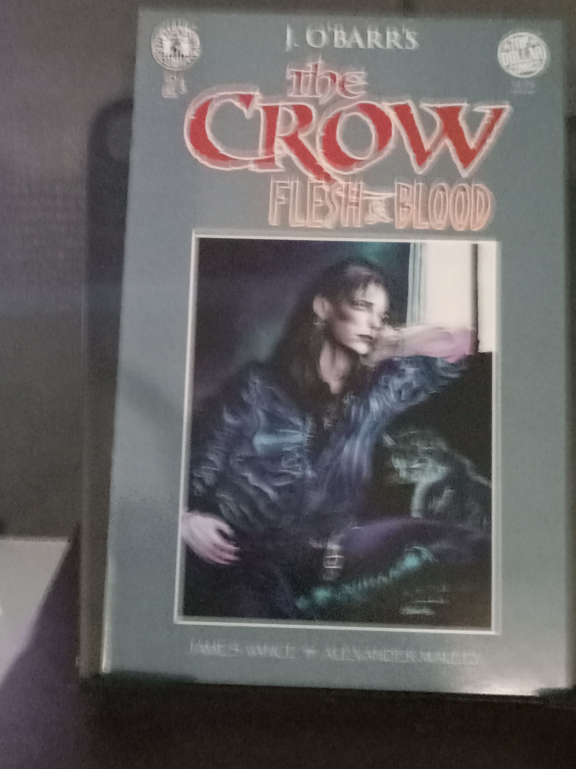 The Crow: Flesh and Blood #2 (1996) | Comic Books - Modern Age, Kitchen ...