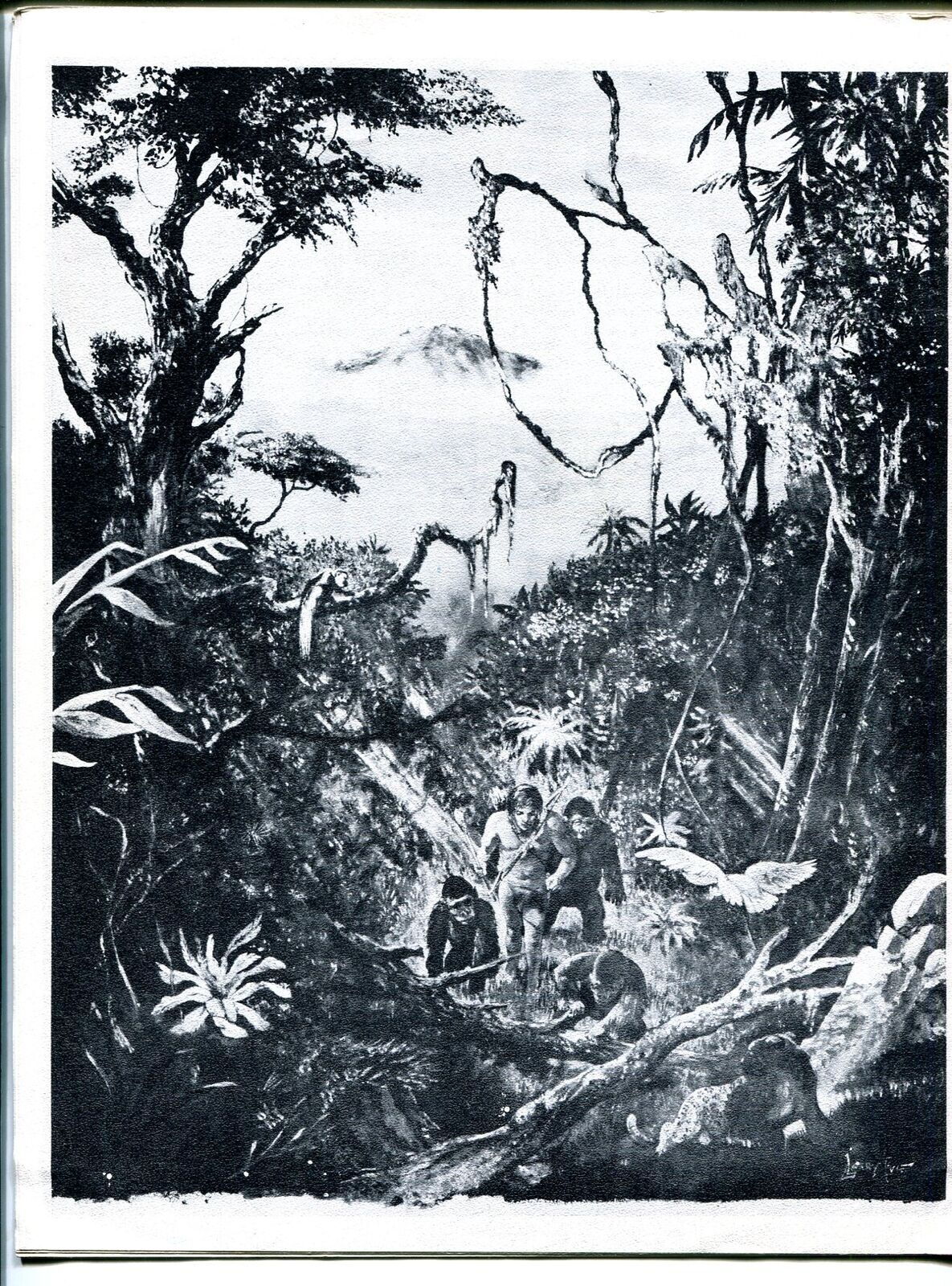 ERB-dom #18 1966-Edgar Rice Burroughs & Tarzan fanzine-Frank Frazetta ...
