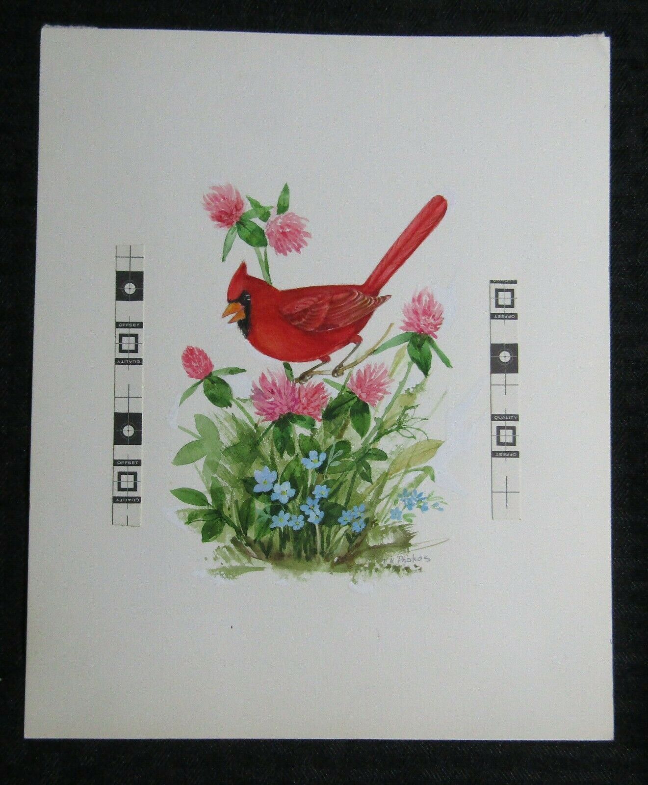 THANK YOU NOTE Red Cardinal w/ Pink Flowers 8x9.5" Greeting Card Art ...
