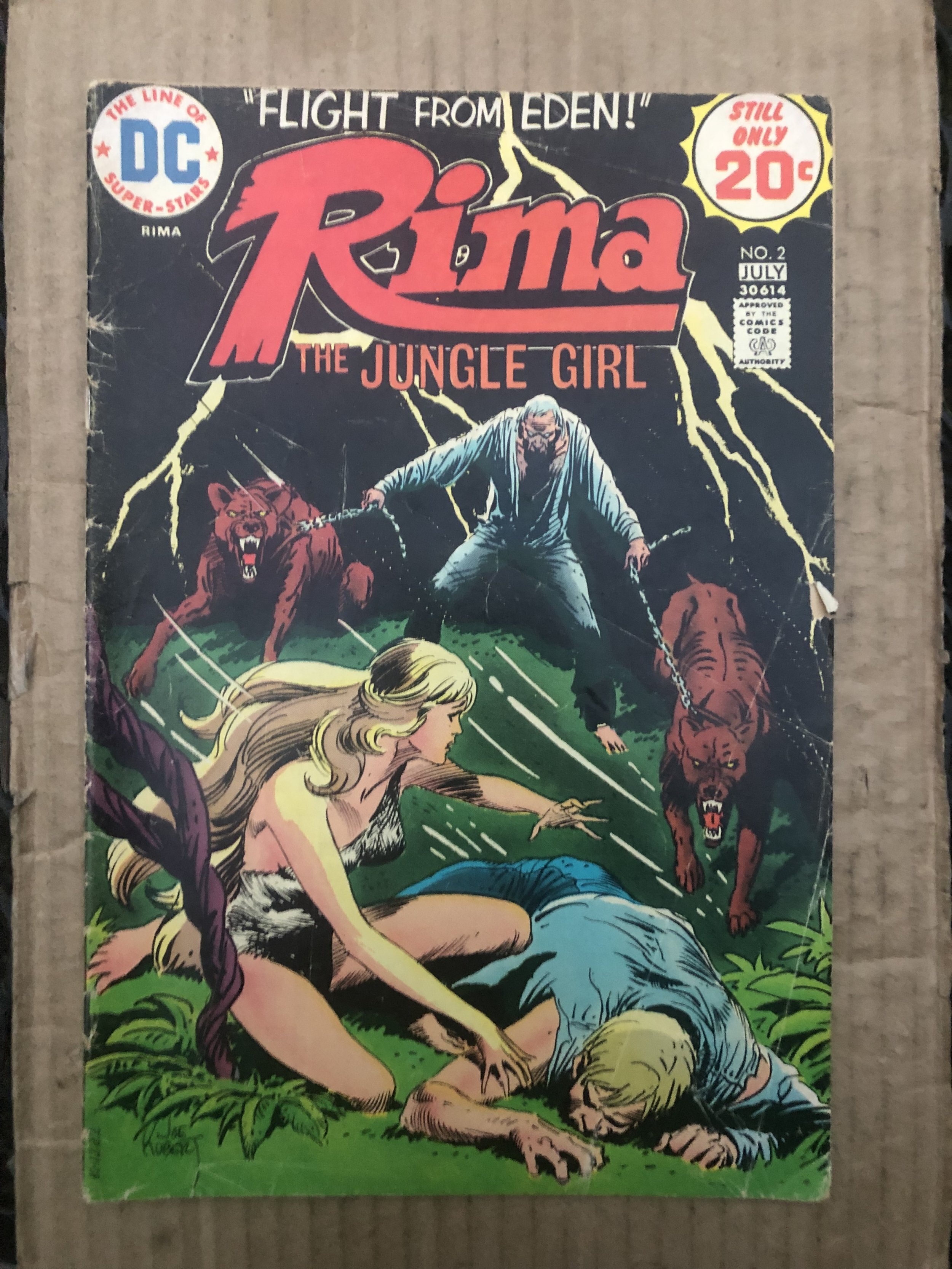 Rima, the Jungle Girl #2 (1974) | Comic Books - Bronze Age, DC Comics ...