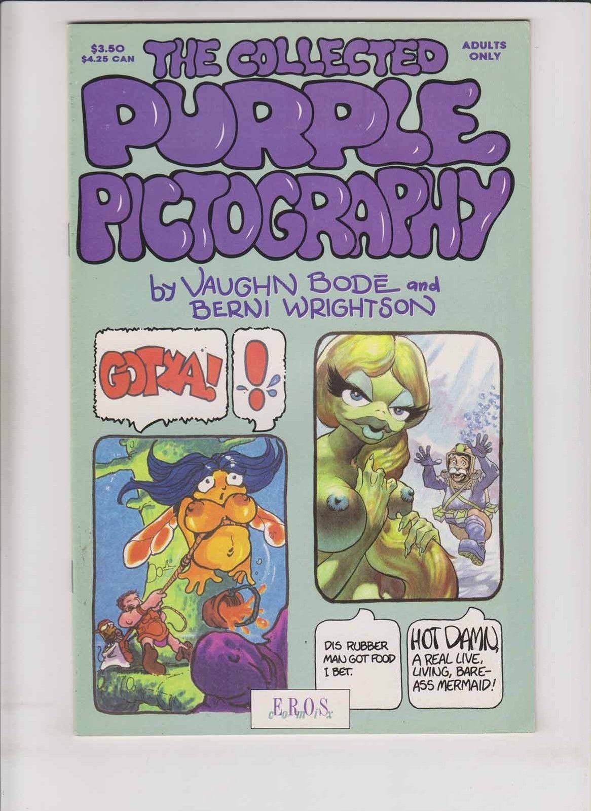 Collected Purple Pictography #1 VF- vaughn bode - bernie wrighson ...