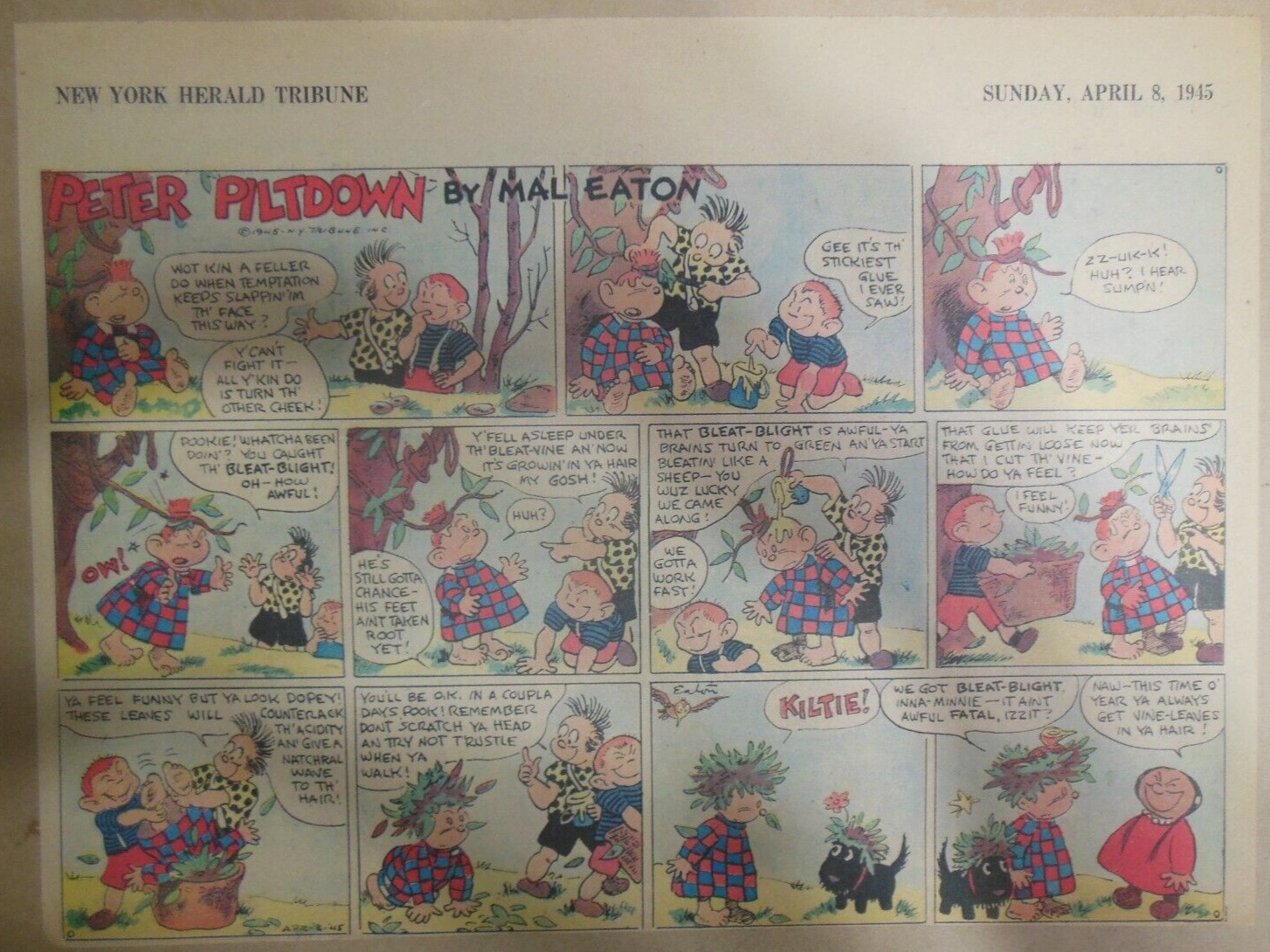Peter Piltdown Sunday Page by Mal Eaton from 4/8/1945 Size: 11 x 15 ...