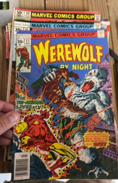 Werewolf by Night #43 (1977) Werewolf by Night | Comic Books - Bronze ...